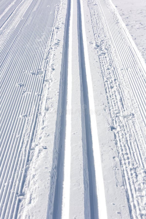 Cross Country Ski stock image. Image of leisure, sport - 25168261