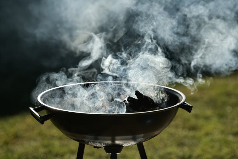 Preparing the Barbecue and Setting on the Fire. Stock Photo - Image of ...