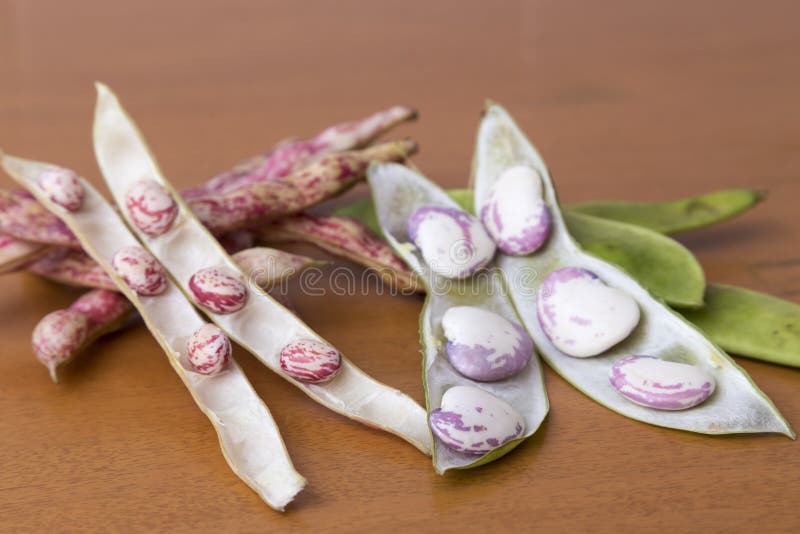 Bean Pods of Different Types Stock Photo - Image of garrofon, grain ...