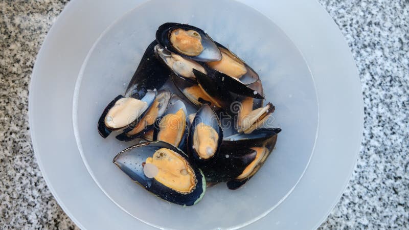 Preparing shellfish stock image. Image of shell, mussel - 23707463