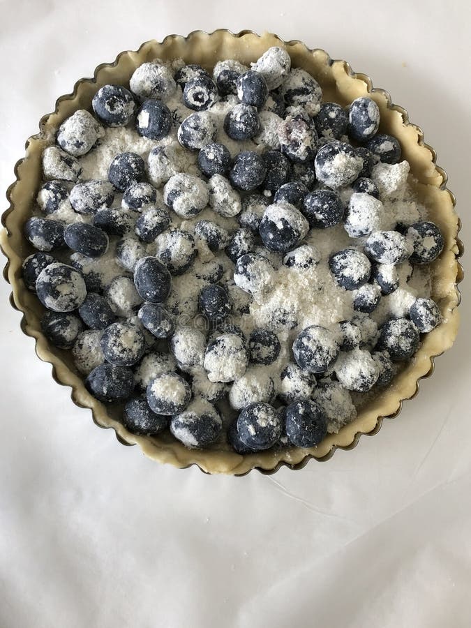 Preparing a blueberry pie stock image. Image of icing - 270960549