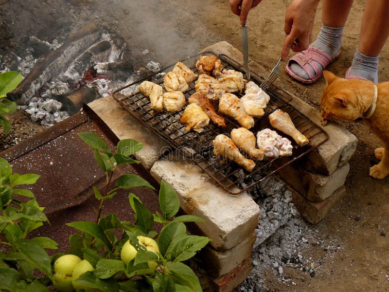 Preparing chicken on grill stock image. Image of hand - 42320621