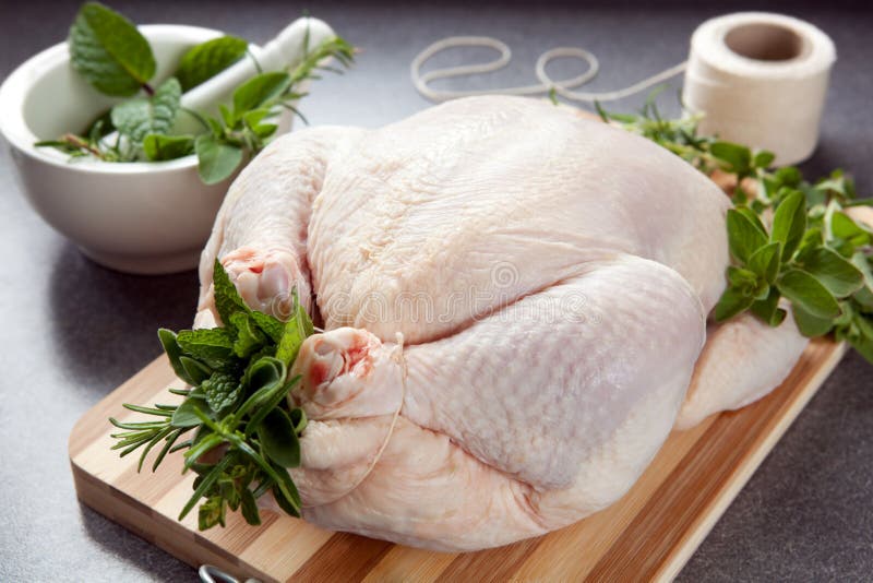 Preparing Chicken for Roasting Stock Image - Image of preparation ...