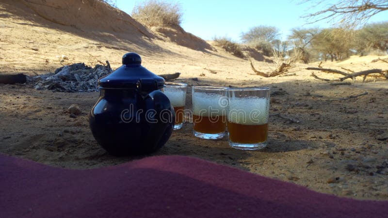Preparing Chinese Green Tea Under the Shade of an African Acacia Tree ...
