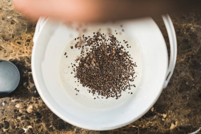 Preparing Chocolate Ice Cream in a White Container Top View Stock Photo ...