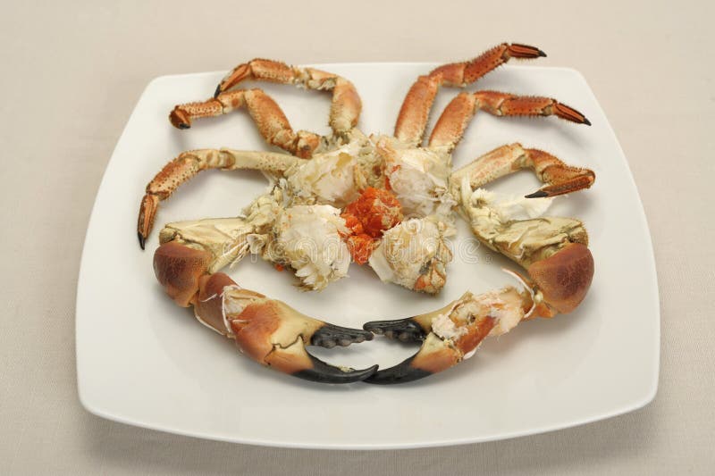 Preparing a crab stock image. Image of edible, classical - 23709945