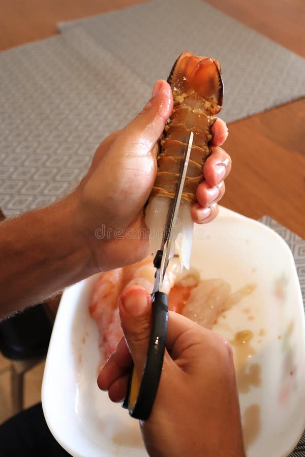 Preparing Crayfish or Lobster for Cooking Stock Image - Image of hand ...
