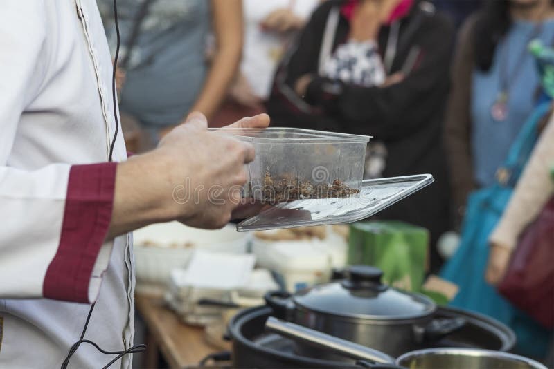 Preparing Crickets in a Pan for Eating Stock Image - Image of grill ...