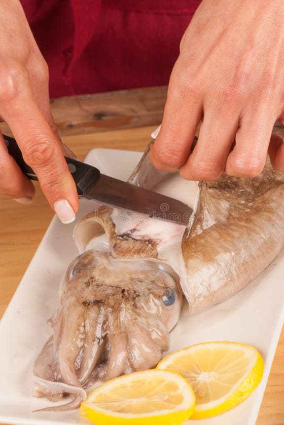 Preparing cuttlefish stock photo. Image of cuttlefish - 29698438