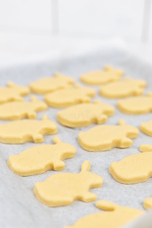 Preparing Easter Bunnies for Baking in the Baking Tray Stock Photo ...