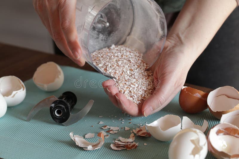Preparing Eggshell Powder. Calcium Supplement Eggshell, Natural Compost Stock Image - Image of ...