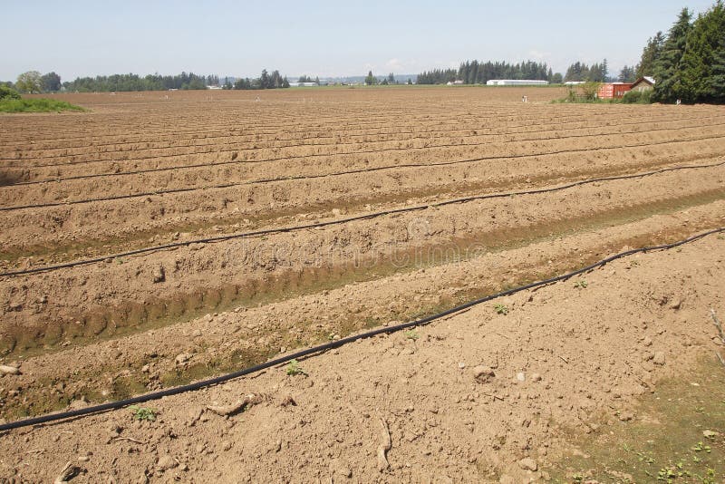 Preparing the Field for Planting Stock Photo - Image of furrow ...