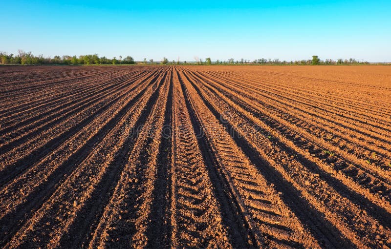 Preparing the Field for Planting Stock Photo - Image of furrow ...