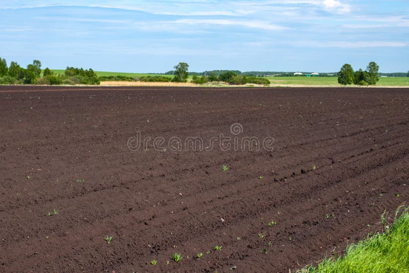 Preparing the Field for Spring Planting Plowed the Field Stock Image ...
