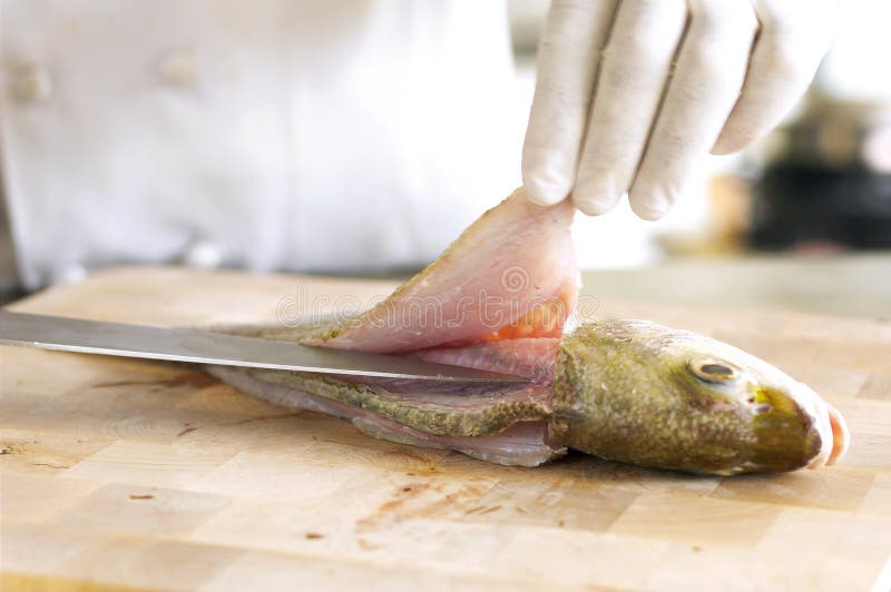 Fish processing factory stock photo. Image of firm, food - 6747084