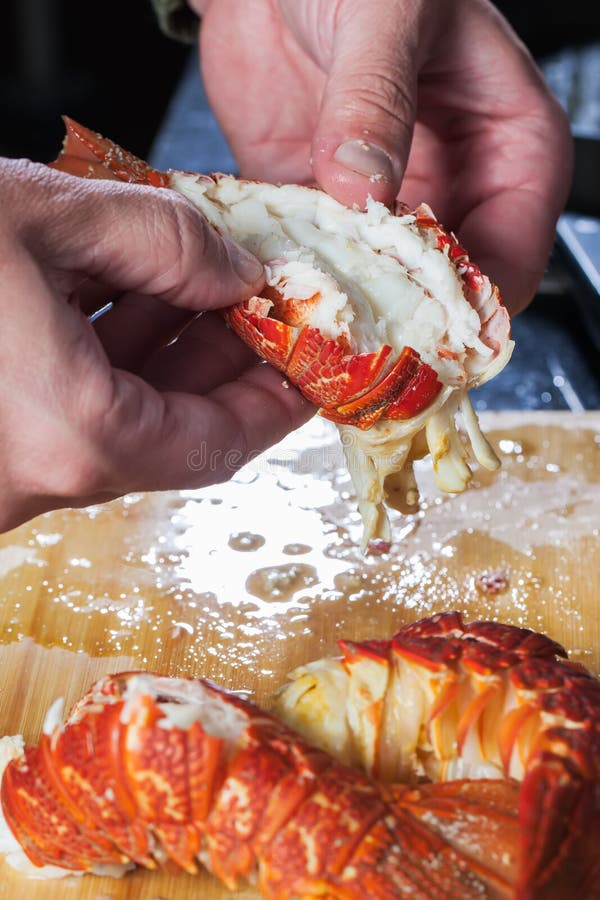 Preparing fish stock photo. Image of length, fish, animal - 26757172