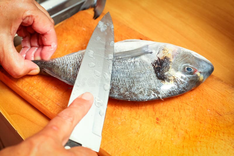 Preparing Bream Fish for Hot Food Smoked Stock Image - Image of dirty ...
