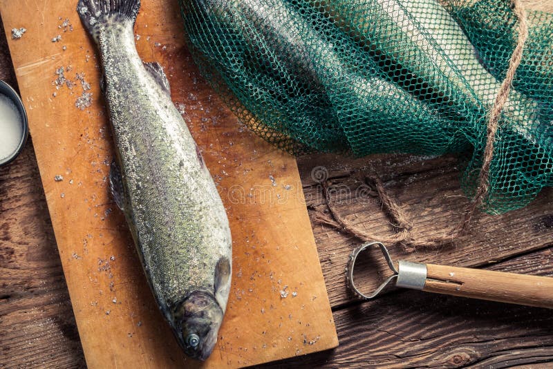 Preparing Fish Caught in Fishing Net Stock Image - Image of freshwater ...
