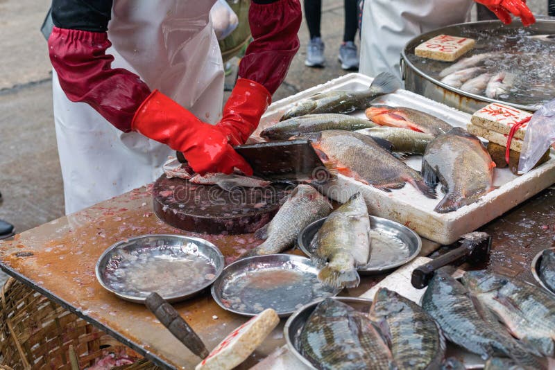 Preparing Fish stock photo. Image of asia, food, knife - 165129858