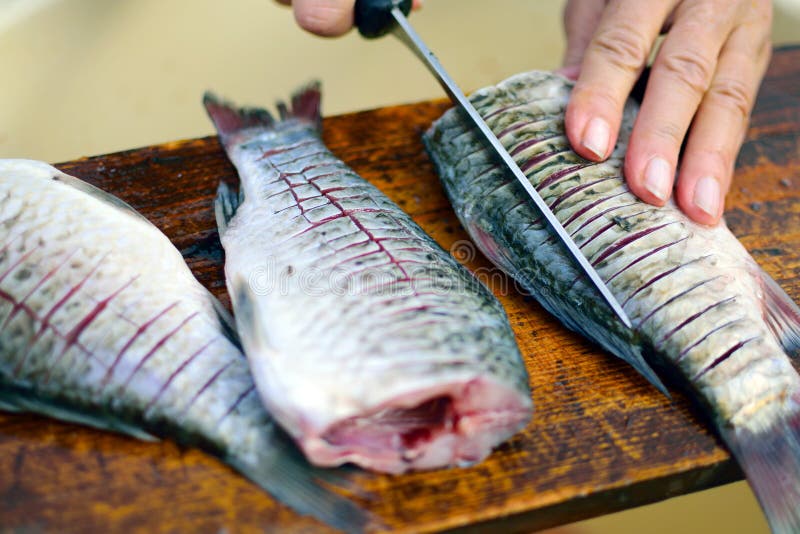 Preparing Fish stock image. Image of fish, dining, plate - 13562837