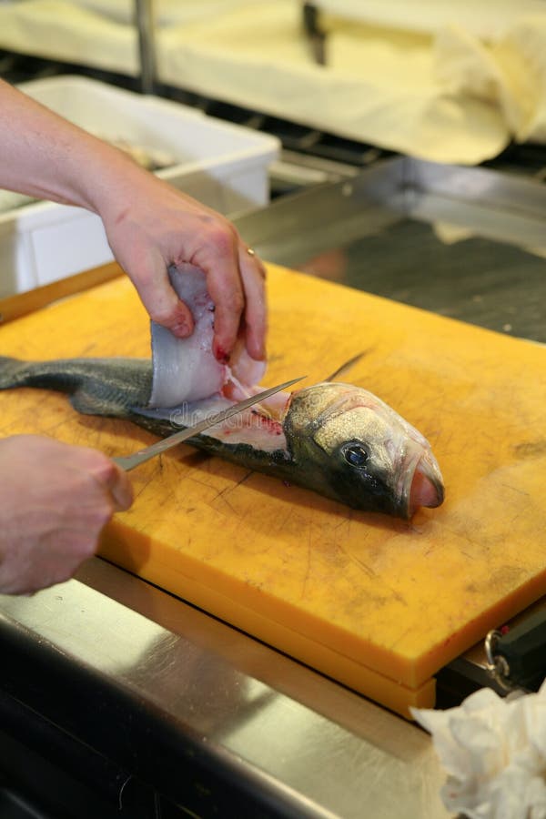 Filleting Fish stock photo. Image of nature, market, dinner - 13562916