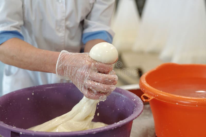 Preparing Fresh Mozzarella Cheese by Hand in Kitchen Stock Image ...