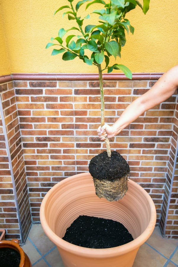 Satur Pérez (Azulillo) - Photographer profile