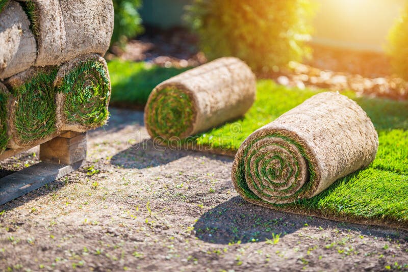 Preparing for Grass Installation Stock Image - Image of rolled ...