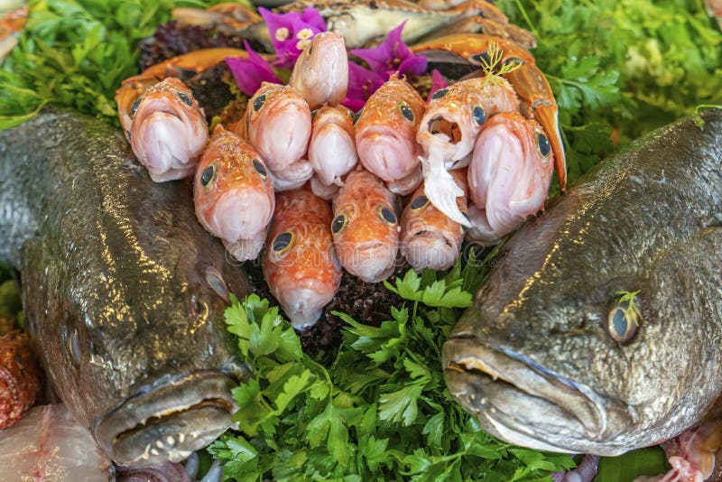Preparing and Grilling Delicious Fish and Seafoods Stock Photo - Image ...