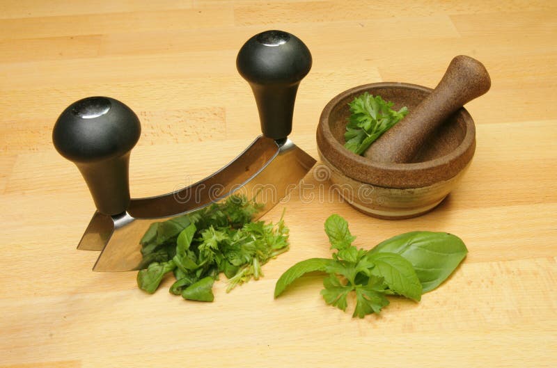 Preparing herbs stock image. Image of basil, chopper, cutter - 9049861