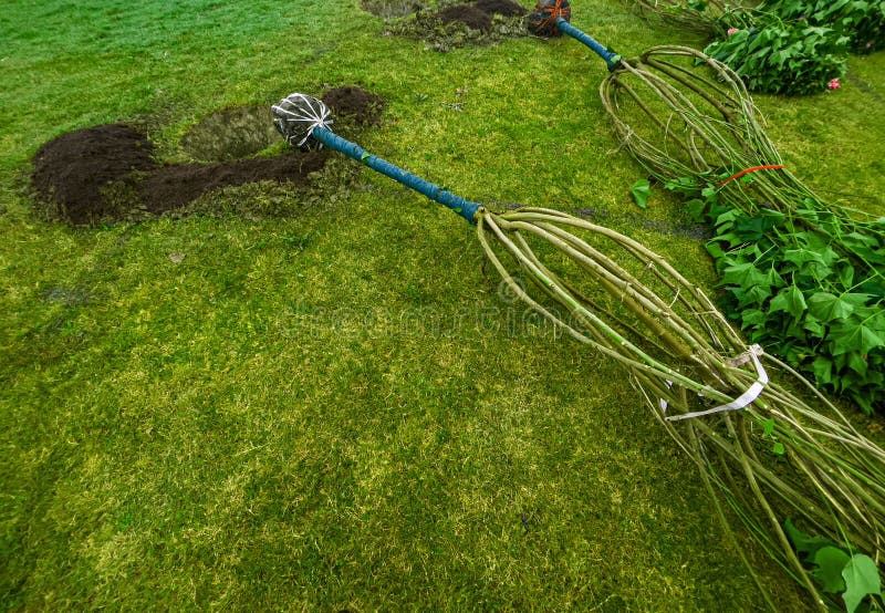 Preparing a Hole and Planting a Tree Stock Image - Image of ground ...