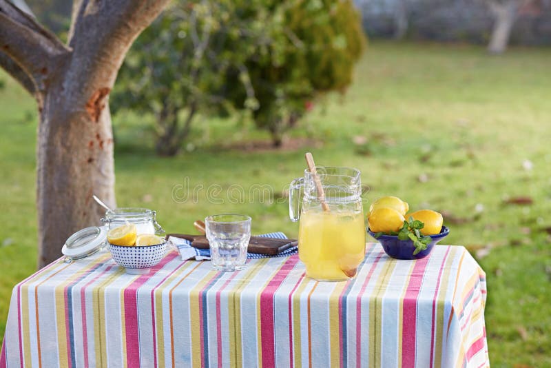 Preparing Homemade Lemonade in Garden Table Stock Photo - Image of ...