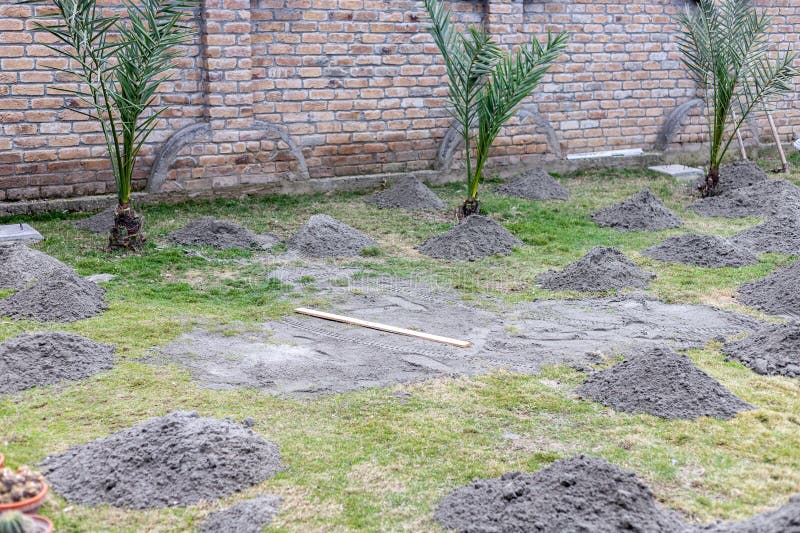 Preparing and Leveling Grass with the Help of Sand Stock Image - Image ...