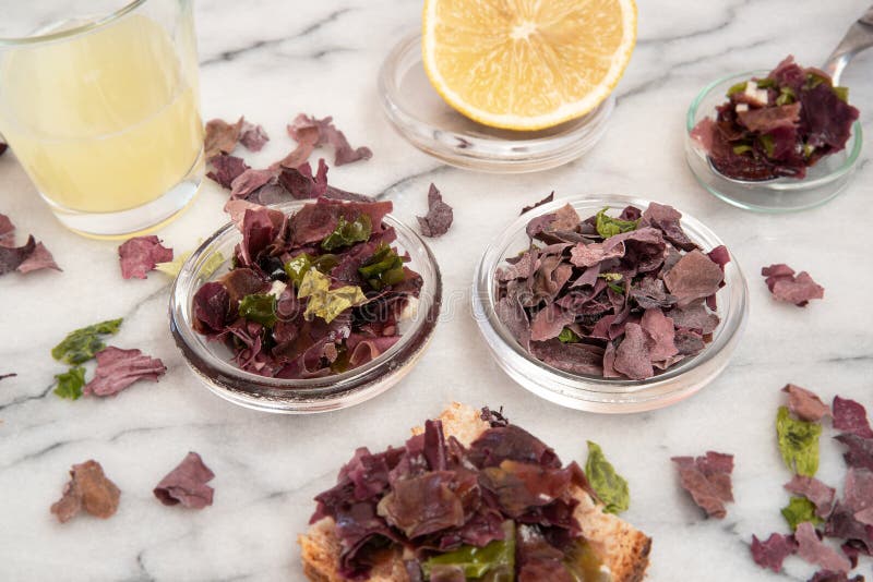 Preparing a Meal with Edible Seaweed Stock Photo - Image of snack ...