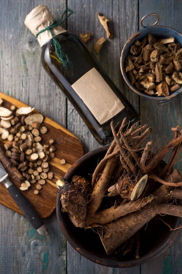 The Root of Elecampane. Top View Stock Photo - Image of homeopathic ...
