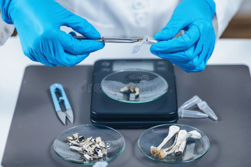 Preparing Laboratory Equipments Such As Glassware, Tube with Liquid on ...