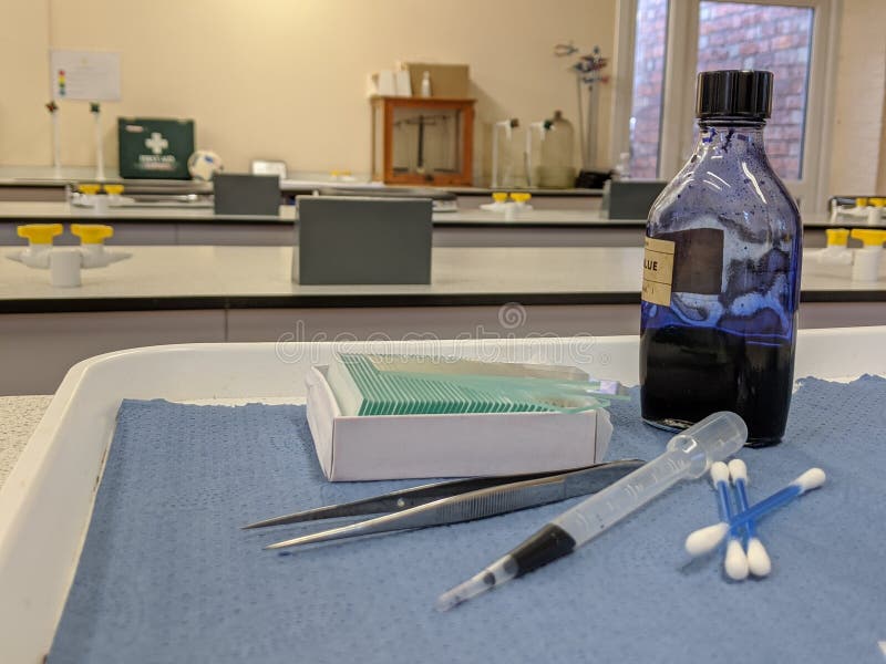 Glass Worktops Green Stock Photos - Free & Royalty-Free Stock Photos ...