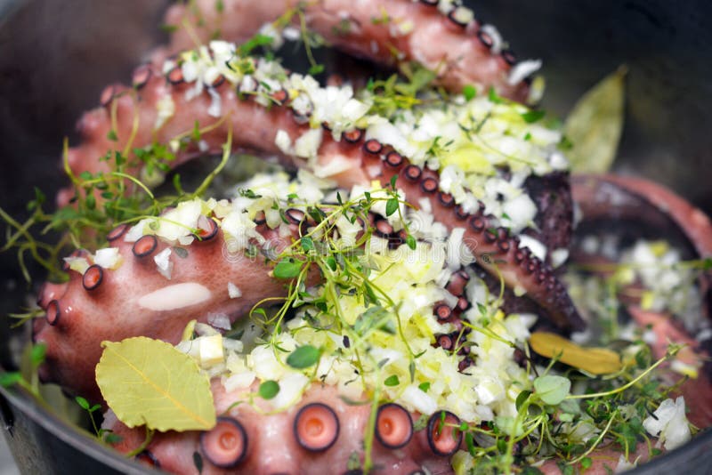 Preparing Octopus with Herbs and Onion Stock Photo - Image of salad ...