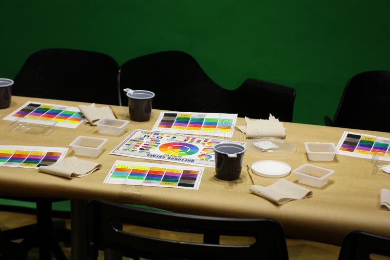 Preparing for a Paint Drawing Lesson. Art Education, Master Classes in ...