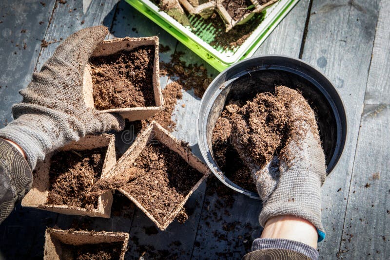 Preparing Pots and Soil for Seedlings, Garden Work in Spring Stock ...
