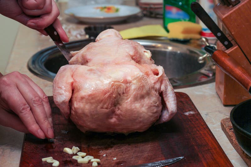 Preparing poultry at home. stock photo. Image of food - 67896212