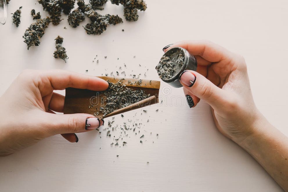 Preparing and Rolling Marijuana Cannabis Joint. Rolling a Marijuana ...