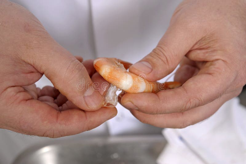 Preparing shellfish stock photo. Image of shell, gesture - 23707468