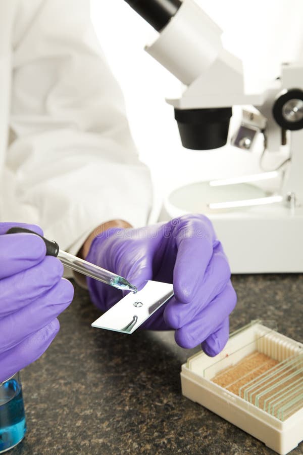 102 Preparing Slide Microscope Stock Photos - Free & Royalty-Free Stock ...