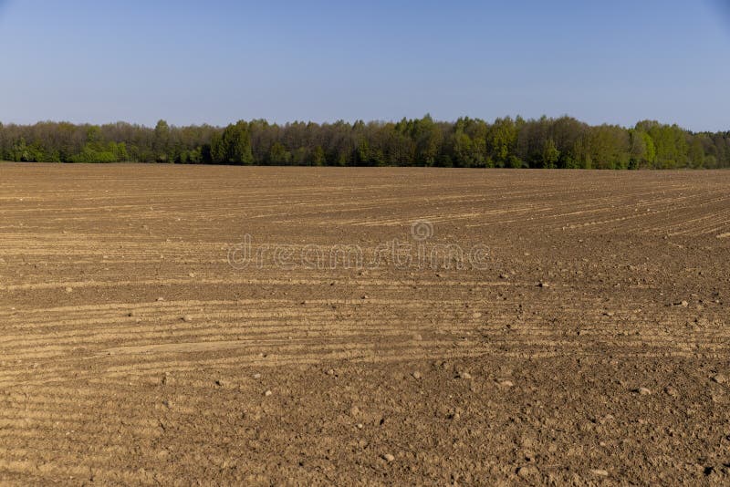 Preparing the Soil for Sowing in Spring Stock Image - Image of growth ...