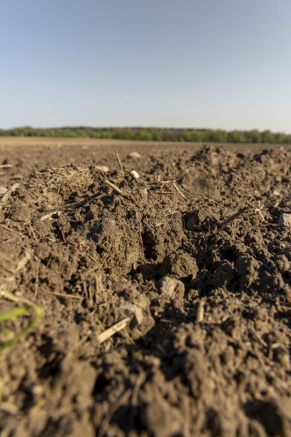 Preparing the Soil for Sowing in Spring Stock Image - Image of outdoor ...