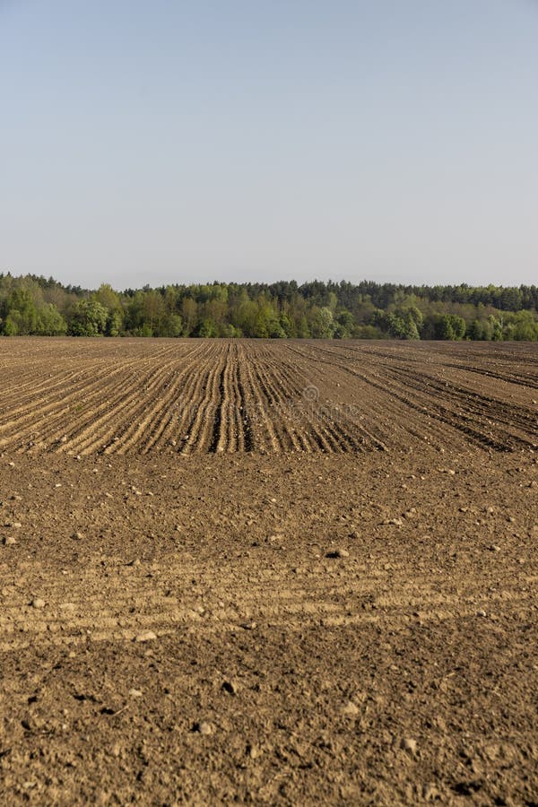 Preparing the Soil for Sowing in Spring Stock Image - Image of ...