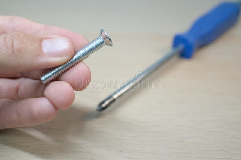 Preparing To Fasten: and Driver in Hand Stock Image - Image of threads ...