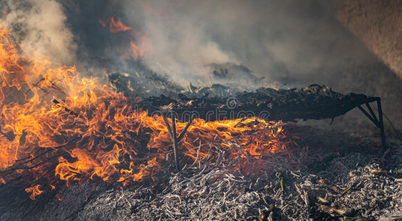 Preparing Calsots Over a Large Fire Fueled by Grapevine Wood Stock ...