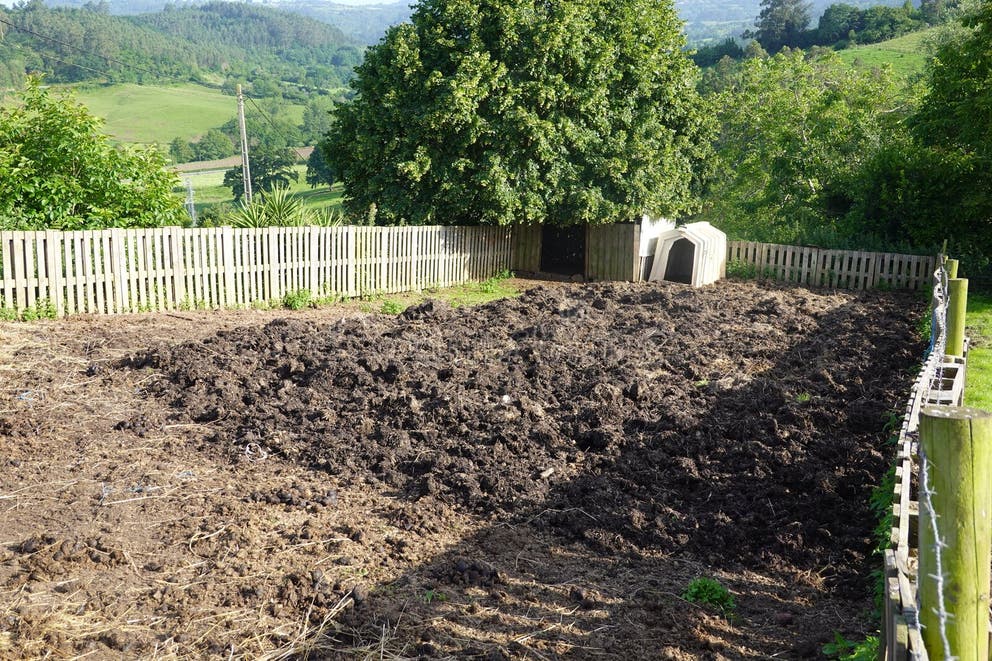 Preparing Vegetable Garden for Cultivation. Turned Soil by Adding ...